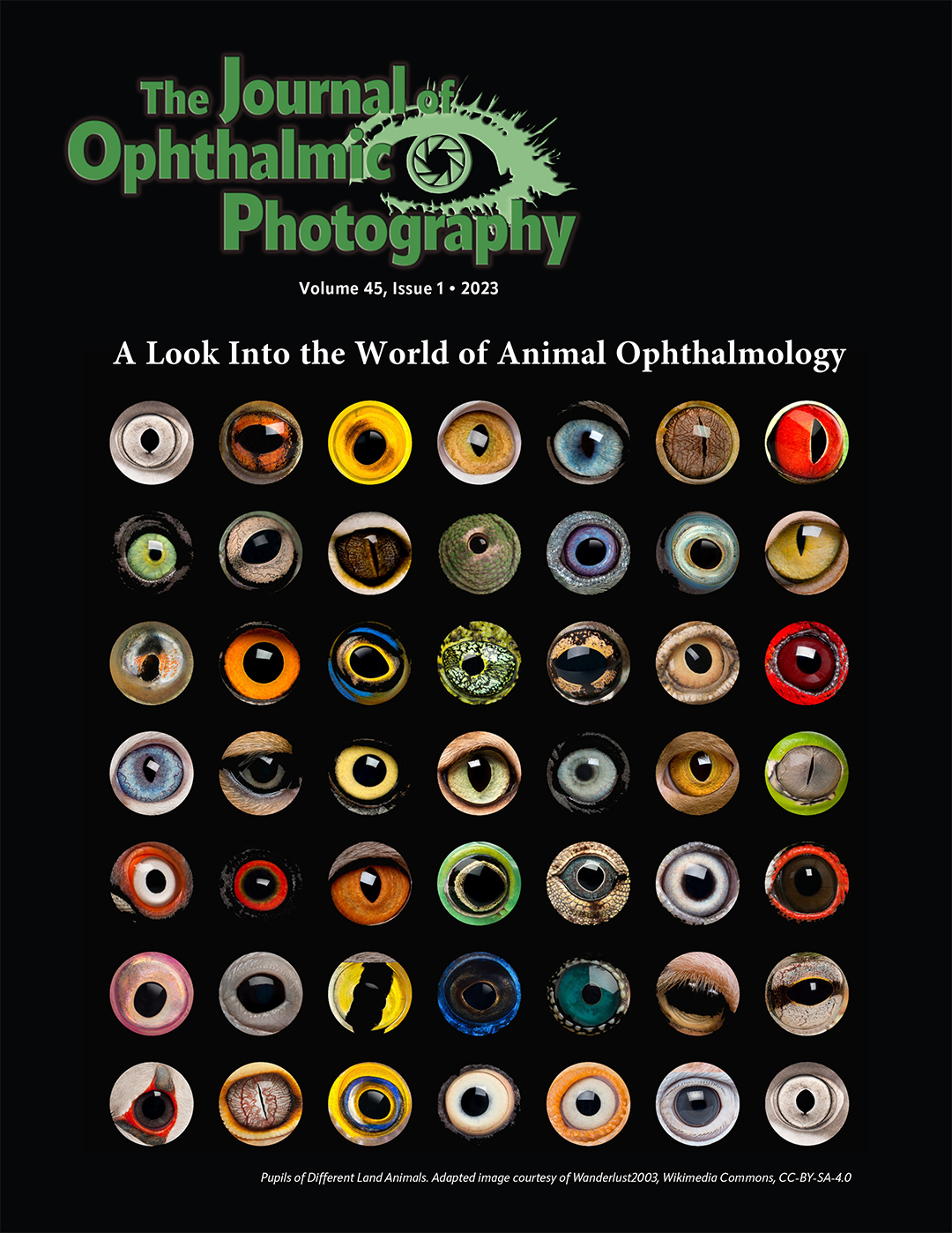 Ophthalmic Photographers' Society
