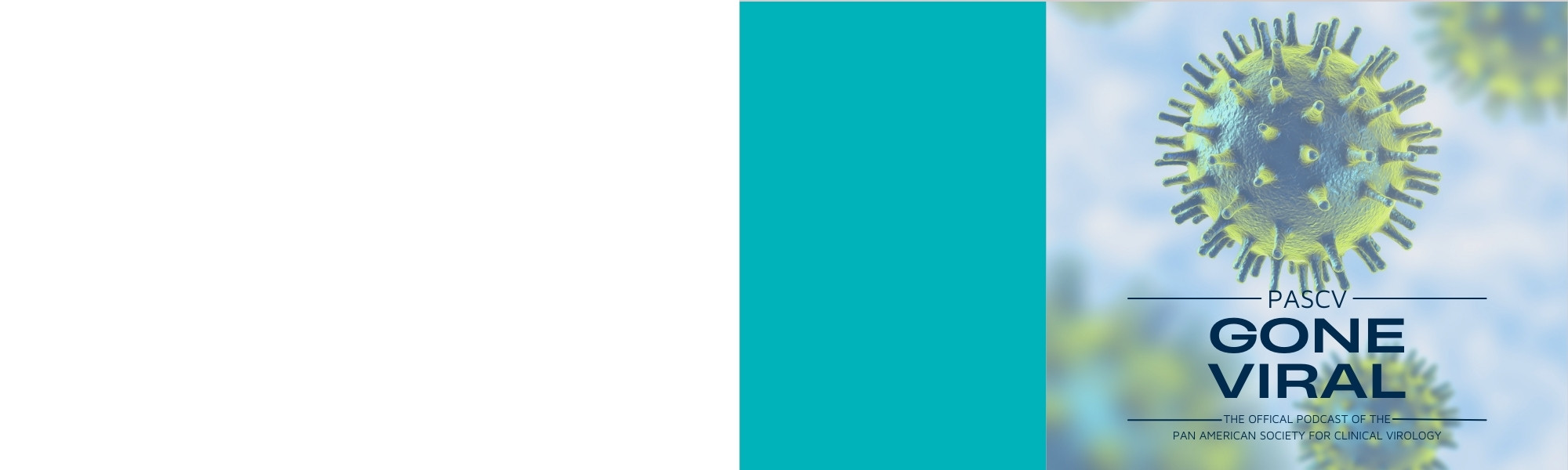 Pan American Society for Clinical Virology