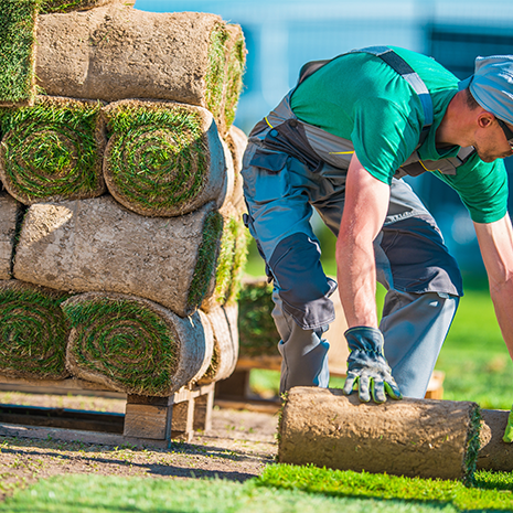 Professional Grounds Management Society
