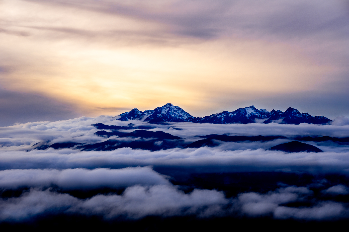 Nature Study Group Member