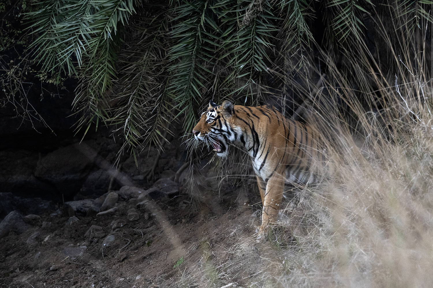 Nature Study Group Member