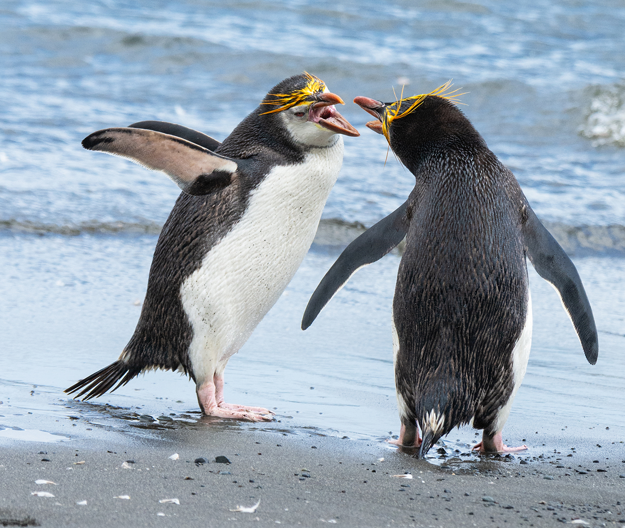 Nature Study Group Member