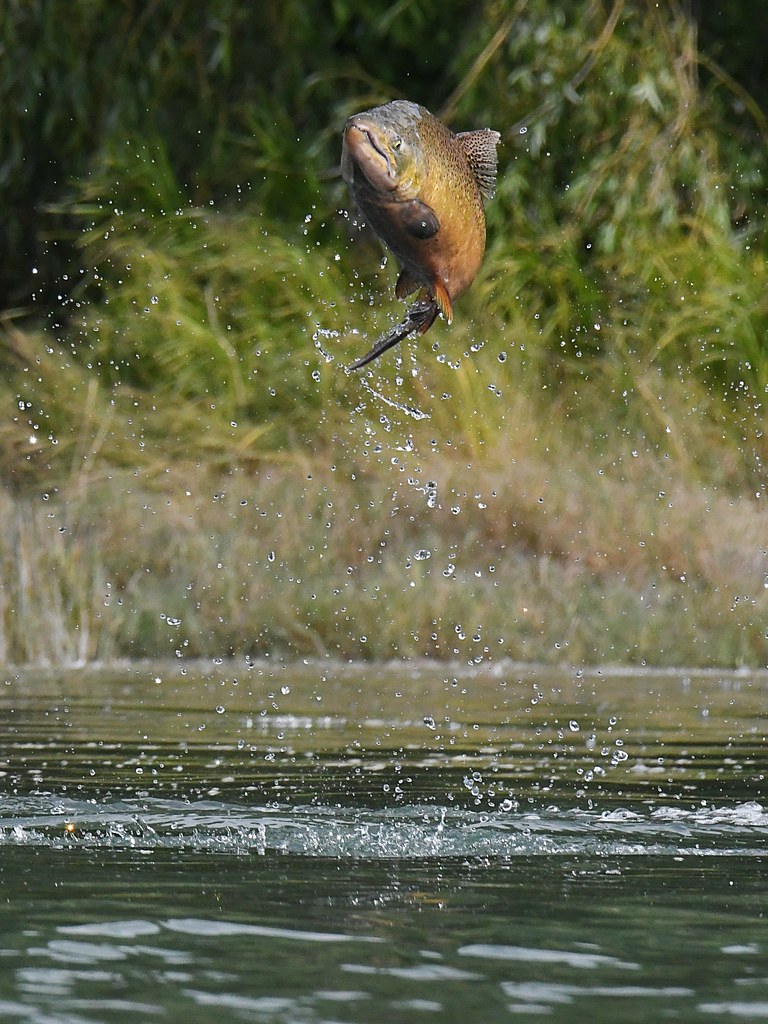 Nature Study Group Member