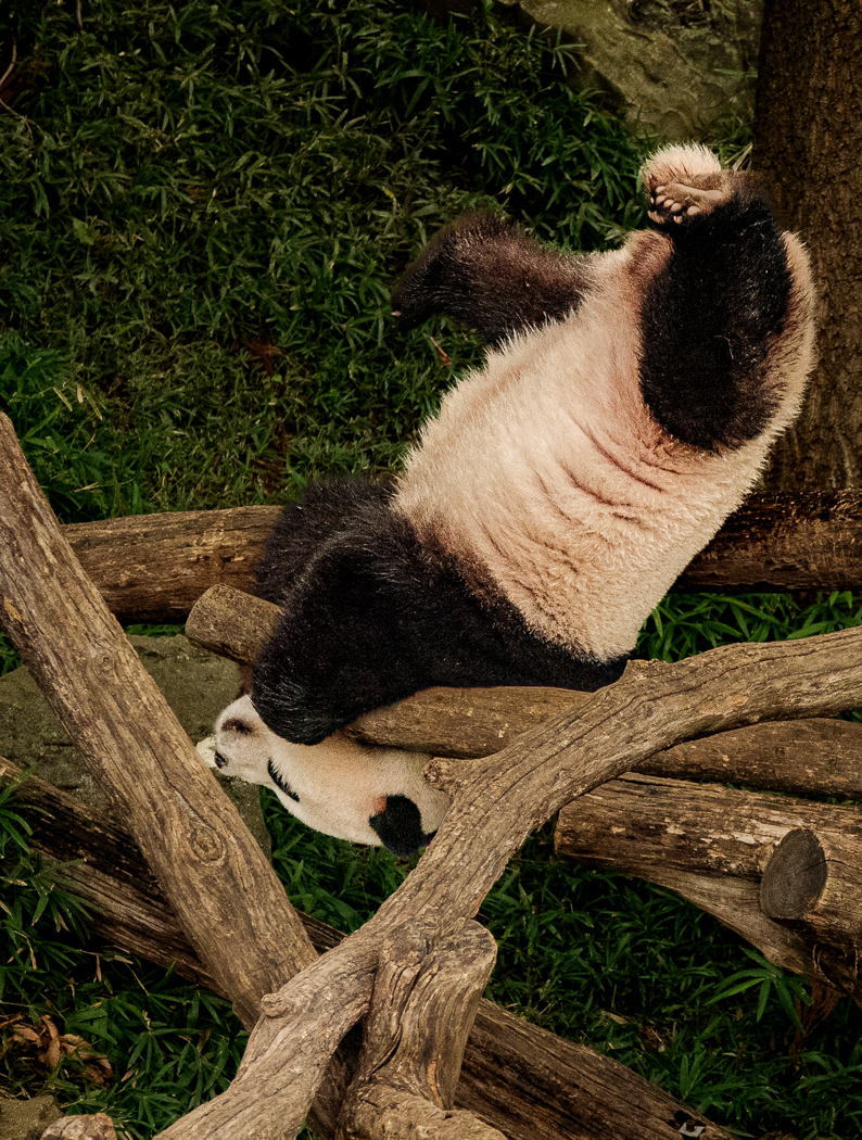 Nature Study Group Member