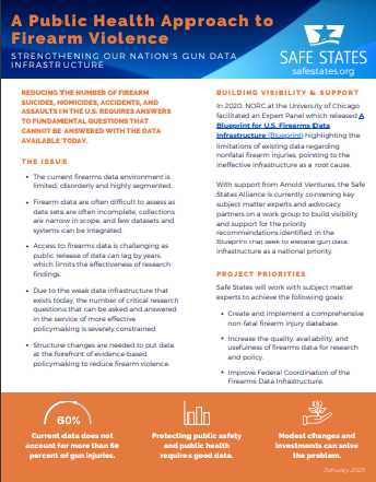Firearm Injury Data Infrastructure Workgroup - Safe States Alliance