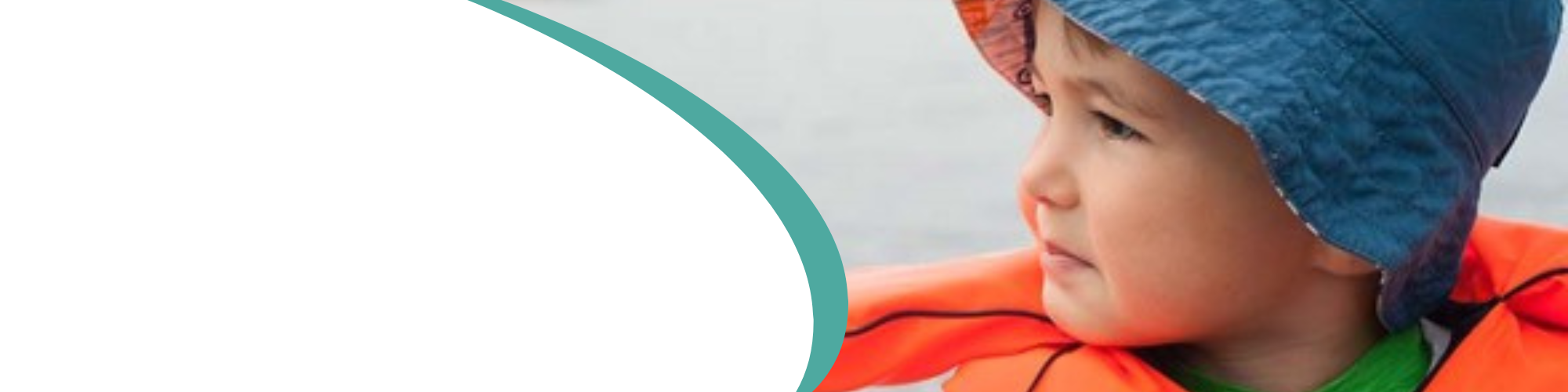 Safe States Alliance