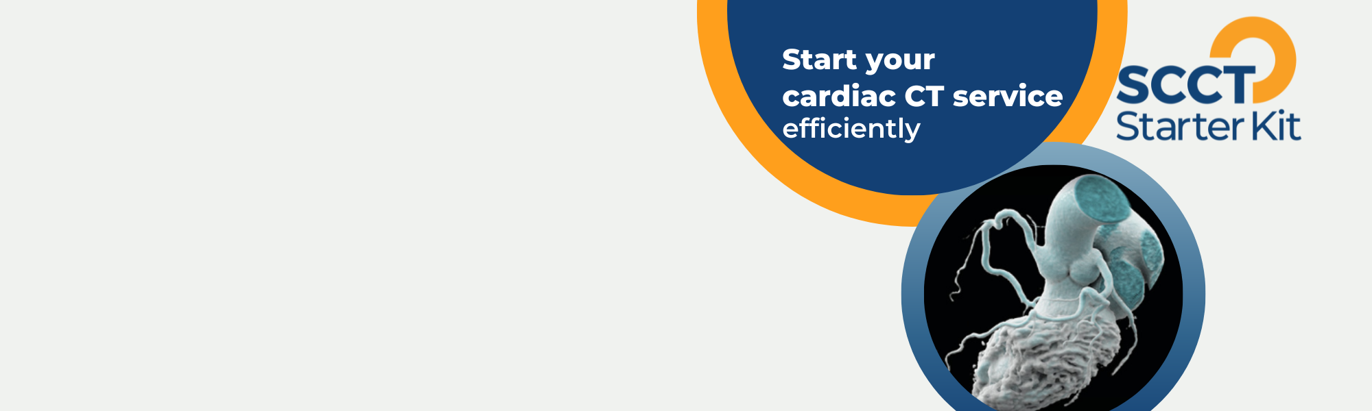 Society of Cardiovascular Computed Tomography