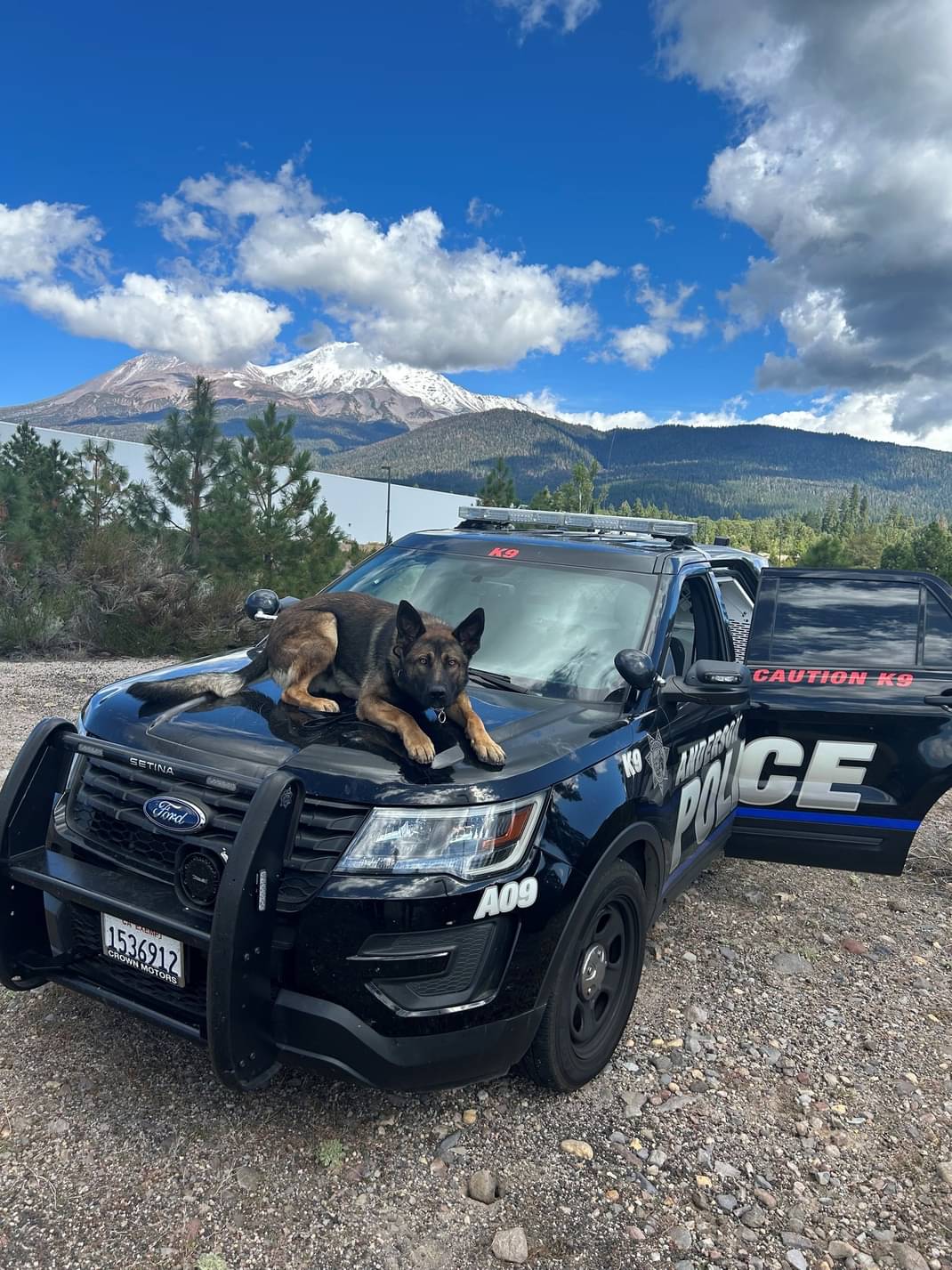 South Carolina Law Enforcement Officers Association