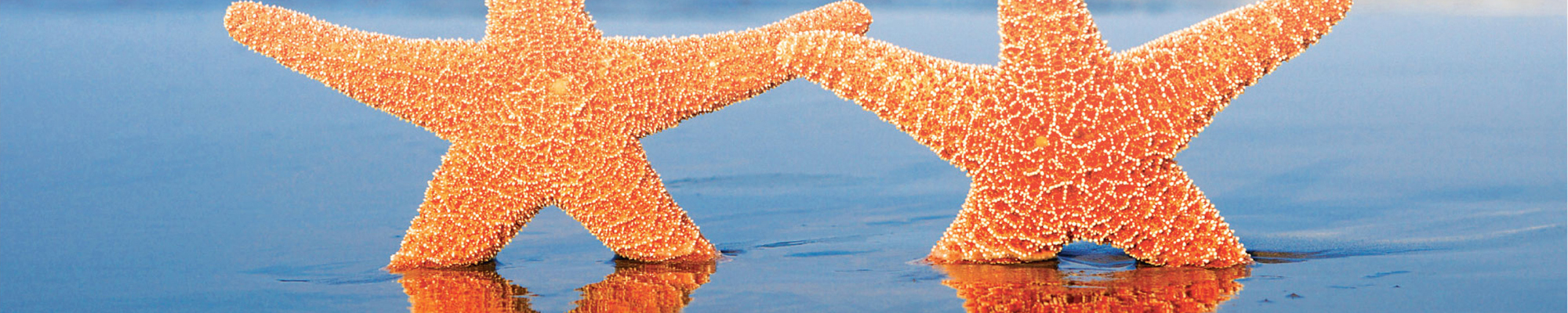 WEASC Operator Conference - Exhibitors