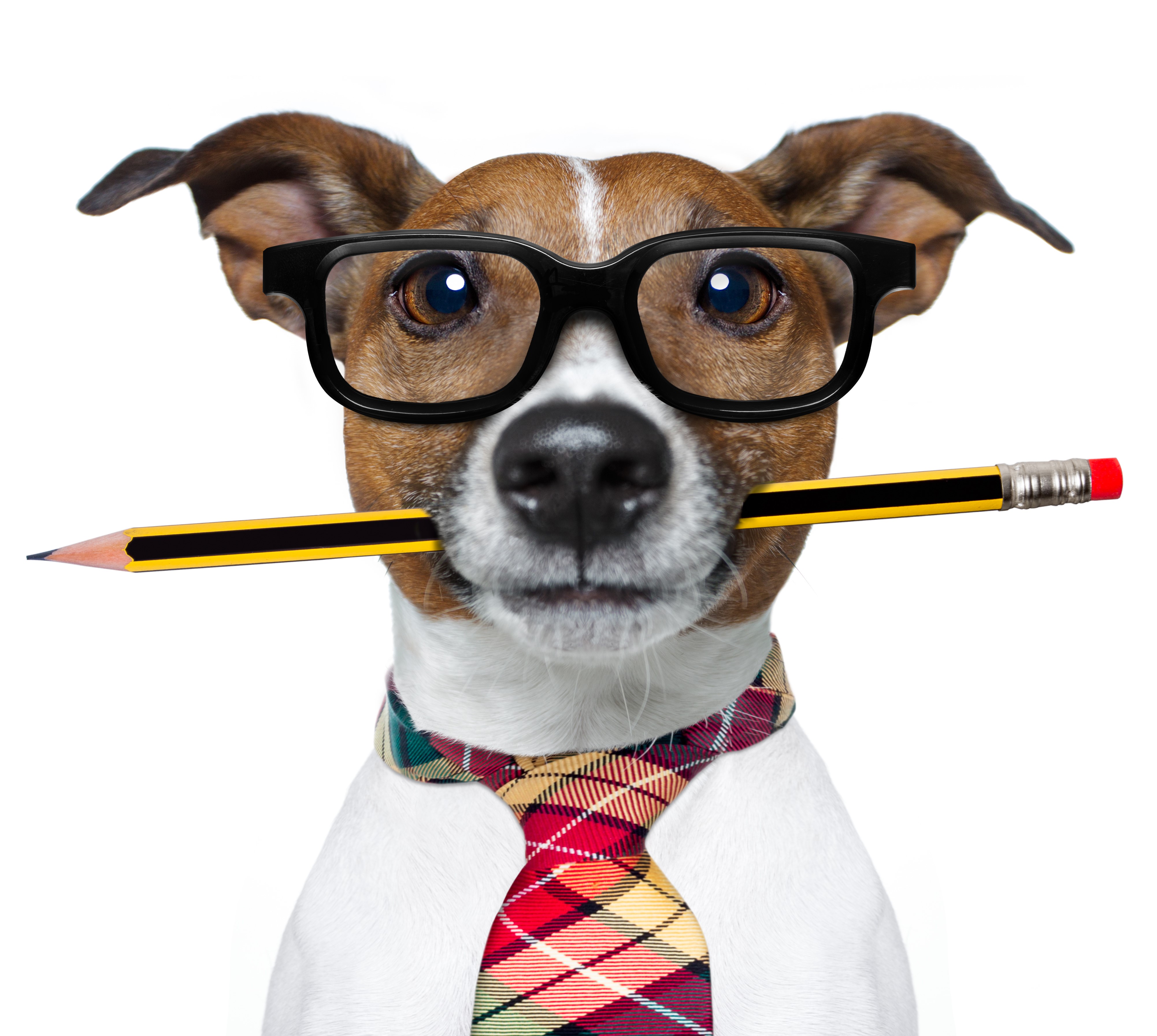 Bonus Word Nerd Less Versus Fewer SDA Bonus Word Nerd Less Versus Fewer SDA