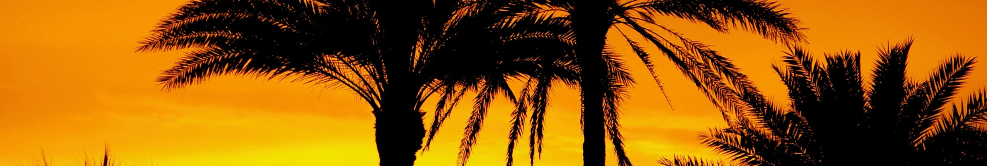 Group Solutions - Southeast Florida Library Information Network