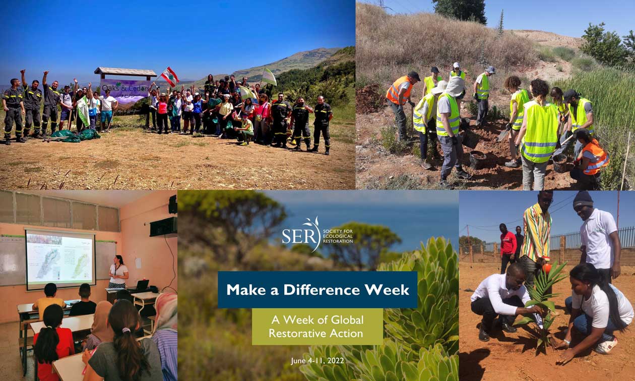 Highlights from SER's 2022 Make a Difference Week - Society for ...