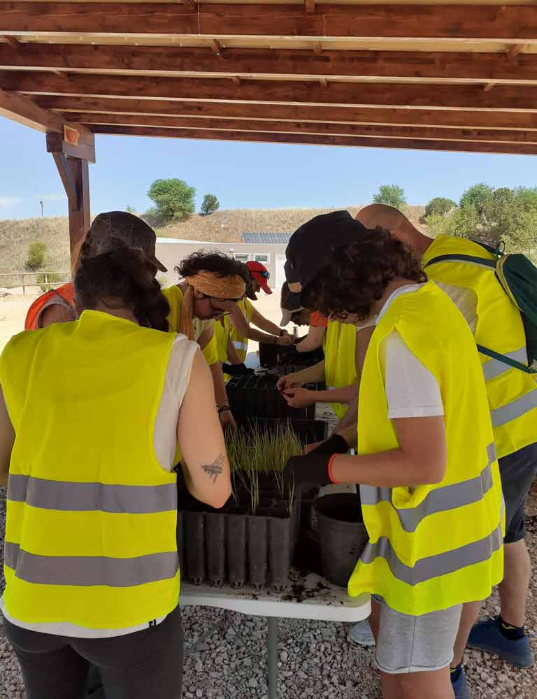 Highlights from SER's 2022 Make a Difference Week - Society for ...