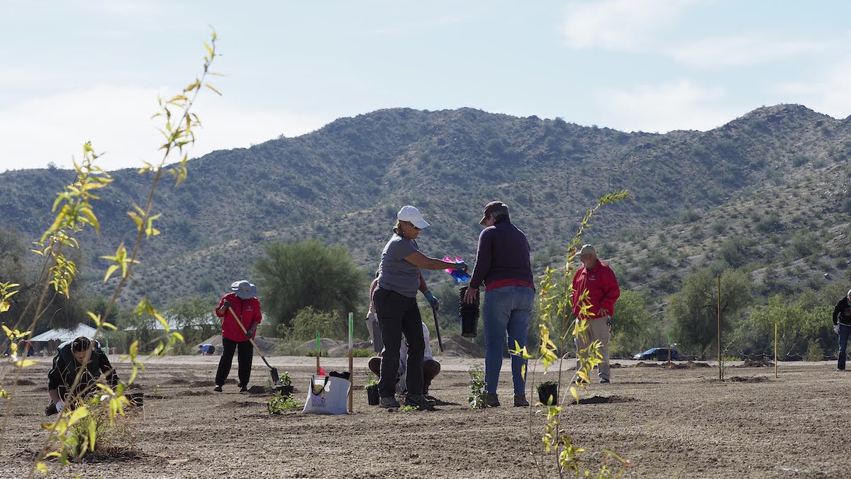 Standards-based Ecological Restoration in Action - Society for ...