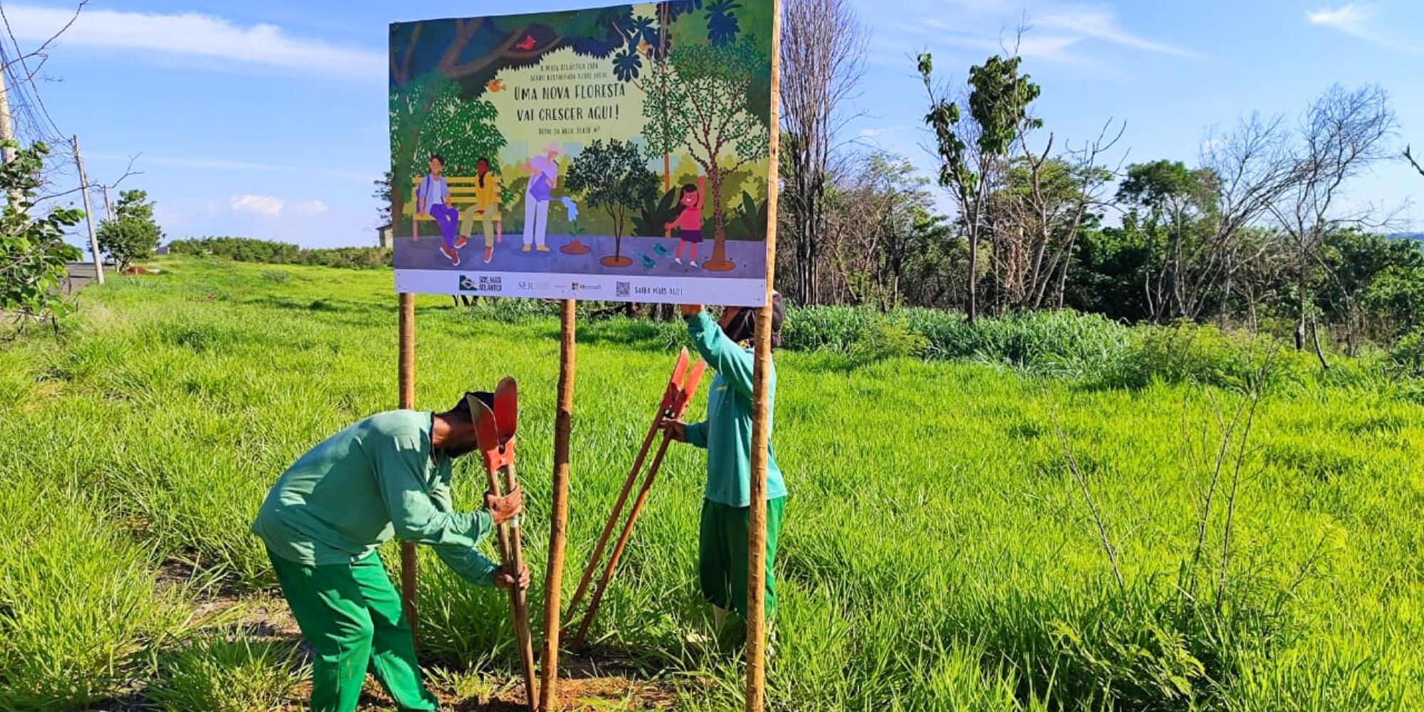 Planting the Future: SOS Mata Atlântica Leads an Urban Forest ...