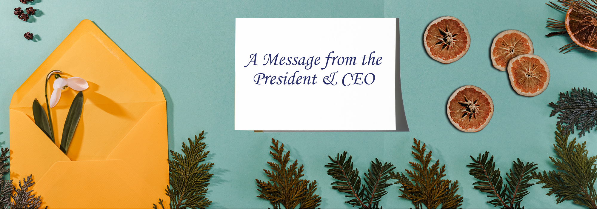 American Association of Service Coordinators