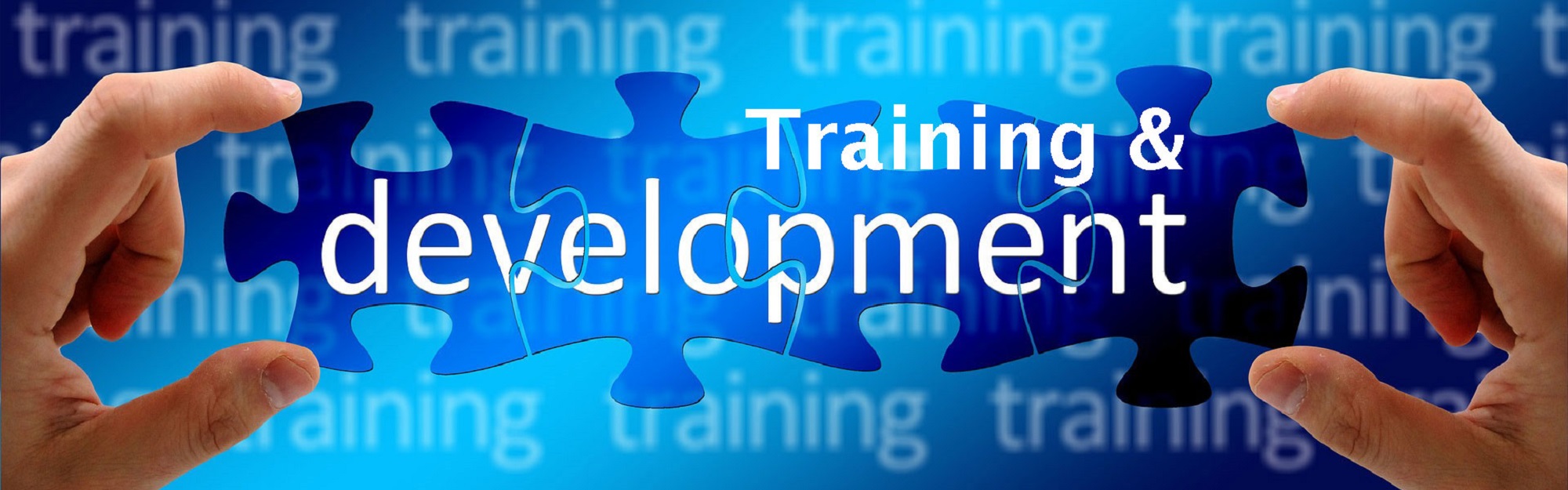 Staging - New York State Defenders Association