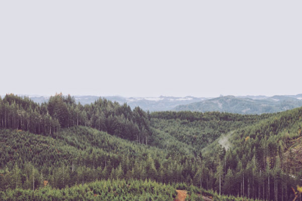 Strategic Economic Development Corporation