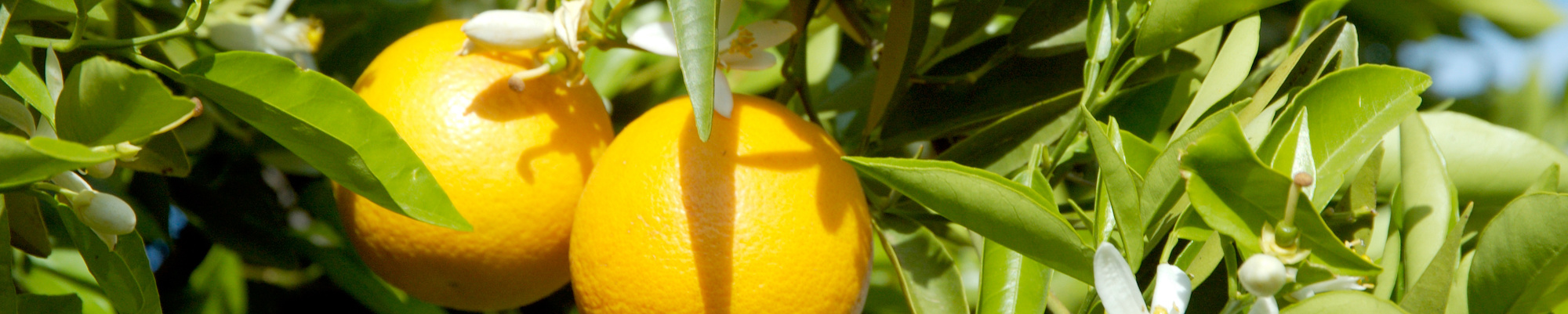 2023 Annual Meeting - Texas Floodplain Management Association