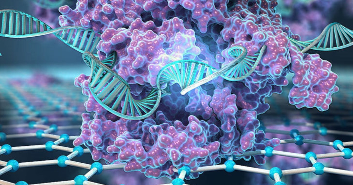 SNP-Chip: New CRISPR-Chip Iteration Enables Rapid Detection of Single ...