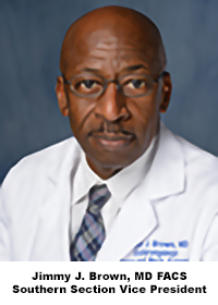 2025 Sections Meeting - The Triological Society