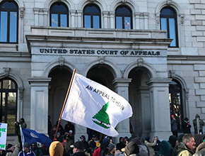 Virginia Citizens Defense League