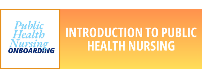Public Health Nursing 101 - WPHA