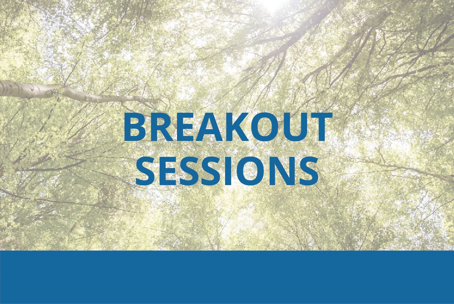 CASE Convention - Colorado Association of School Executives 2024